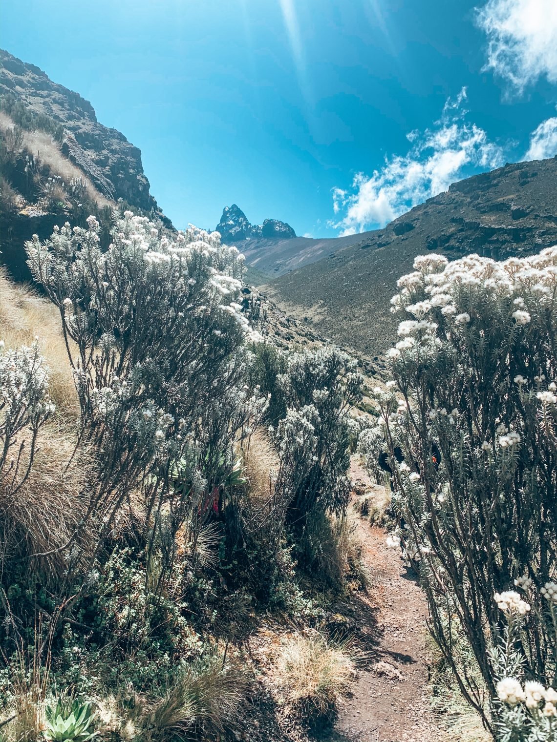 Subida al Monte Kenia (Mt. Kenya) – TRAVEL MAPAMUNDI